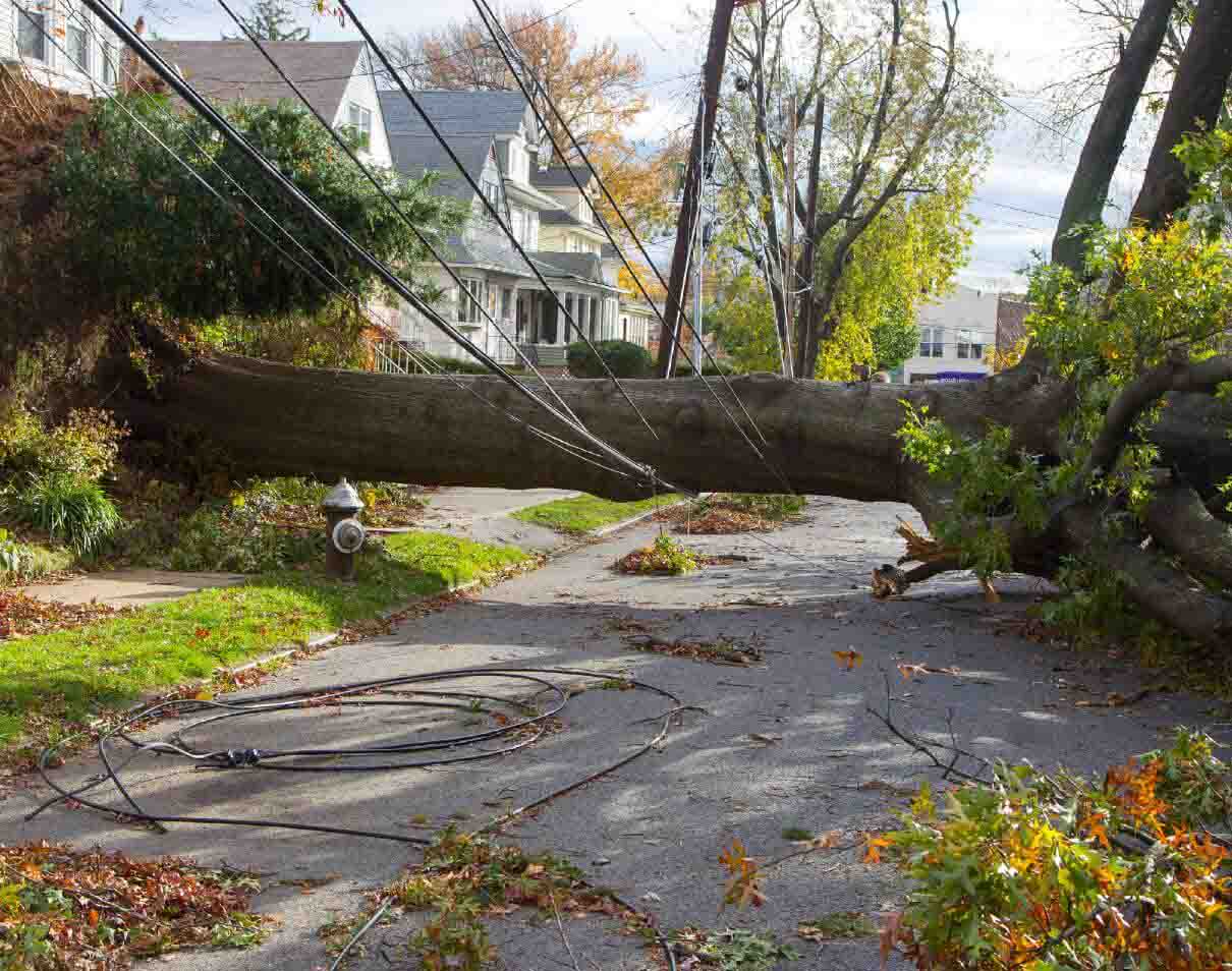 Public Safety | Outages & Safety | Xcel Energy