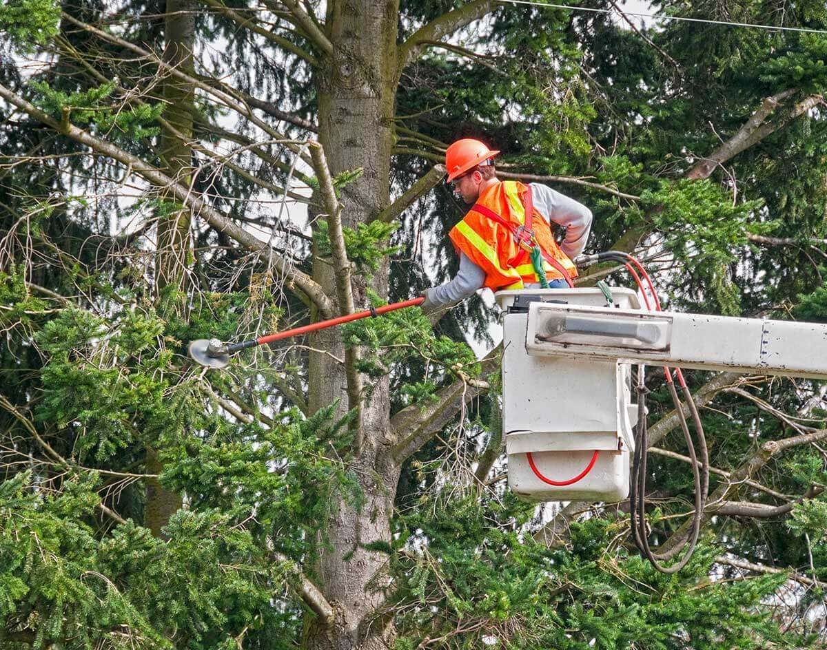 Outages and Safety | Xcel Energy